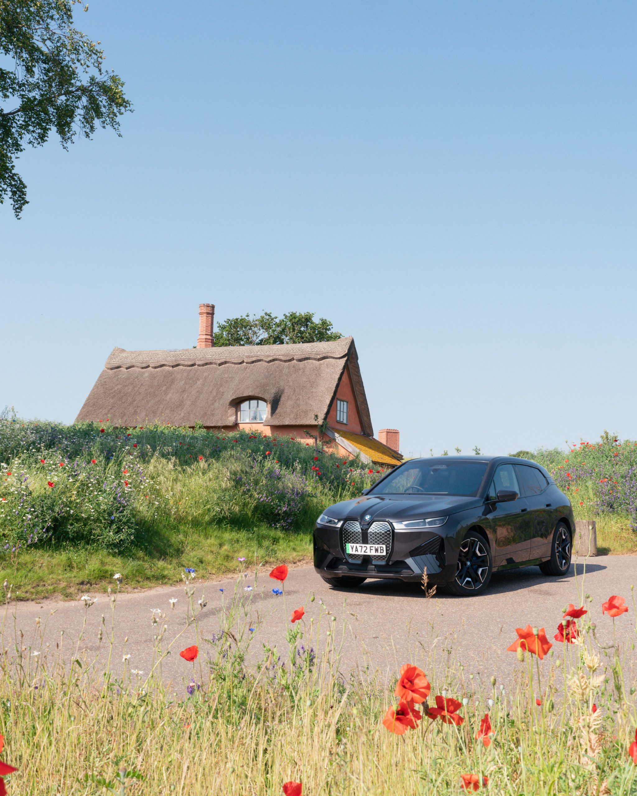 BMW unveils exclusive new partnership with Wilderness Reserve ...